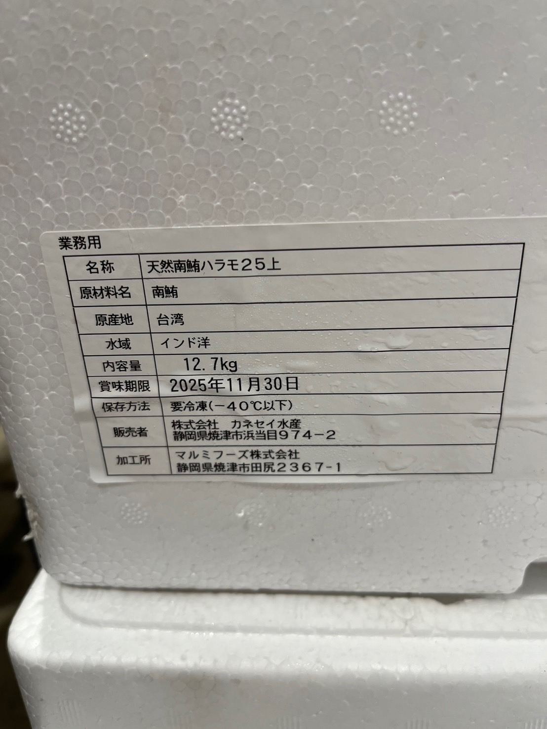 ミナミマグロ約10kg | UUUO(ウーオ)