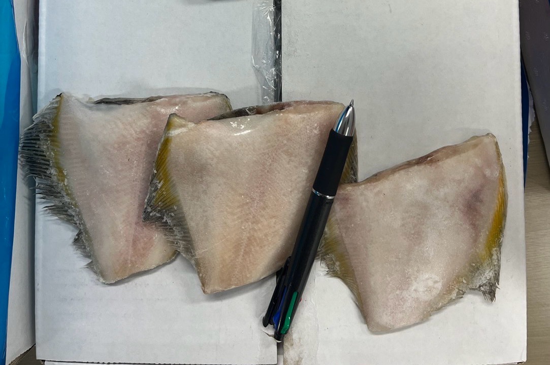 黄金カレイ5k50枚約10kg | UUUO(ウーオ)