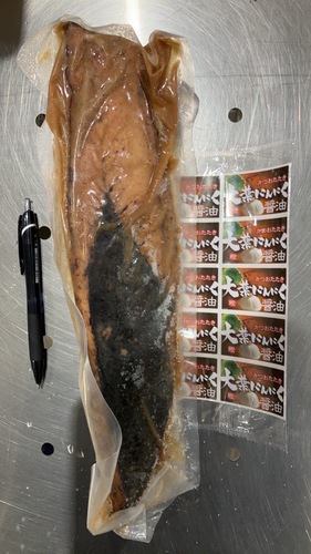 カツオ（冷凍）約9kg | UUUO(ウーオ)