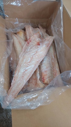 タラフィーレ7入約8kg | UUUO(ウーオ)