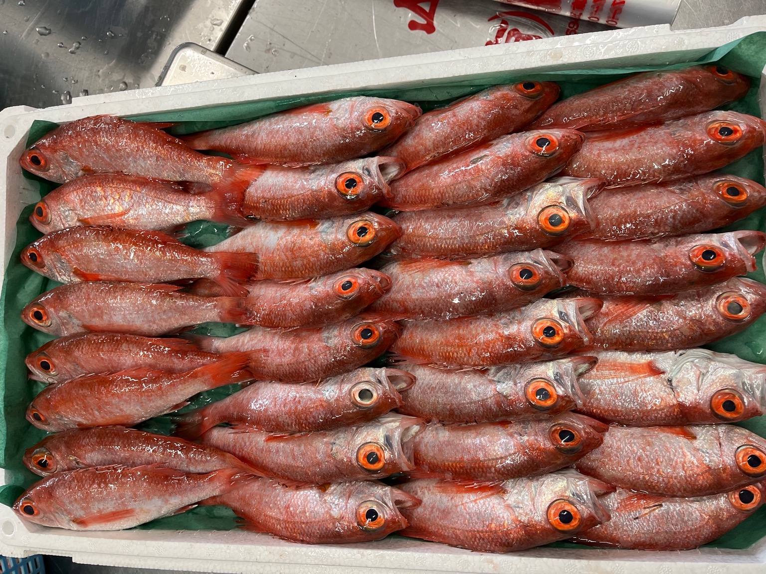 アカムツ(底曳) | UUUO(ウーオ)