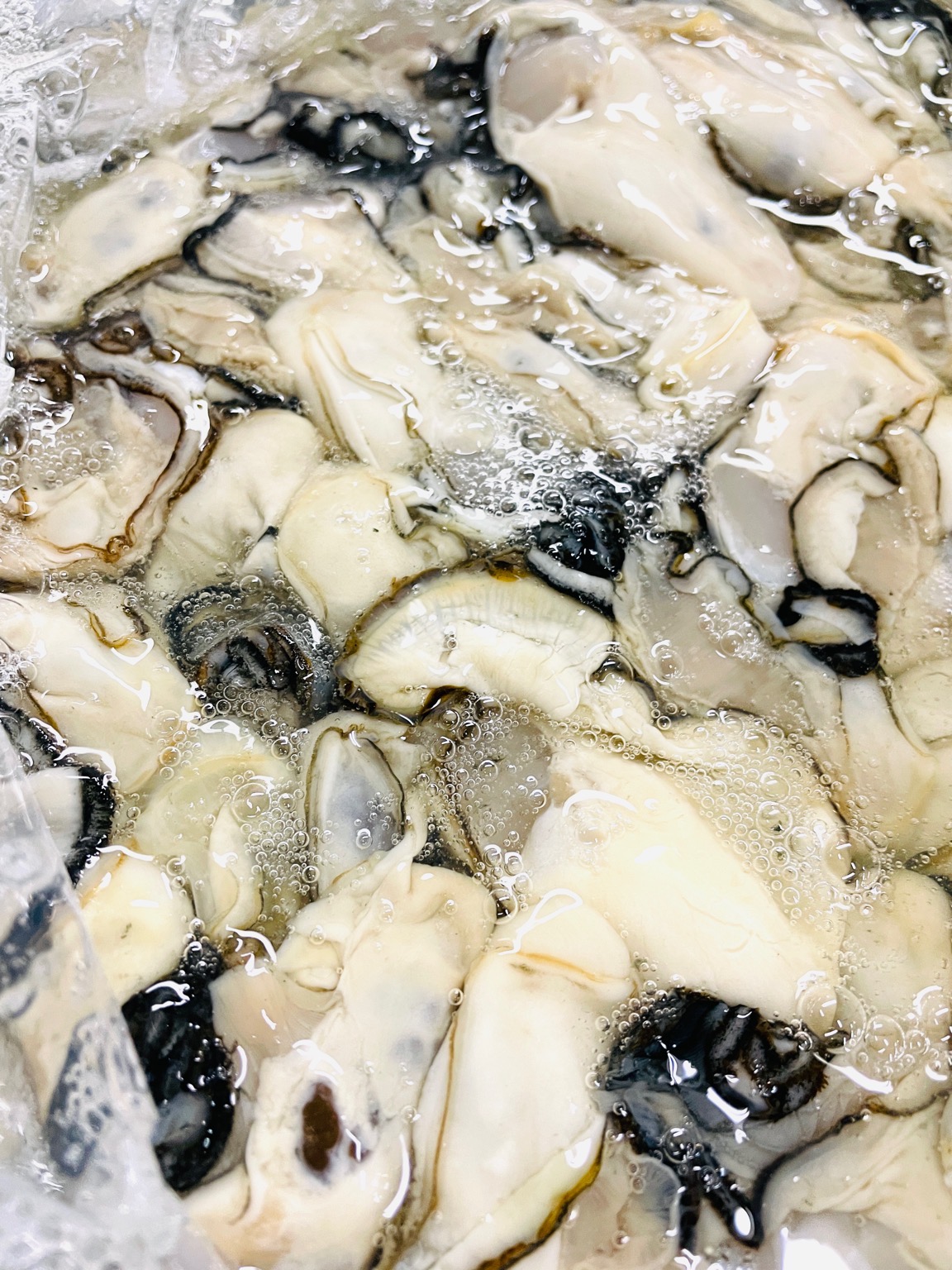 カキ500g／袋10入約5kg(養殖) | UUUO(ウーオ)