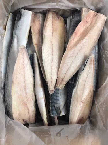 冷凍さばフィーレ約10kg | UUUO(ウーオ)