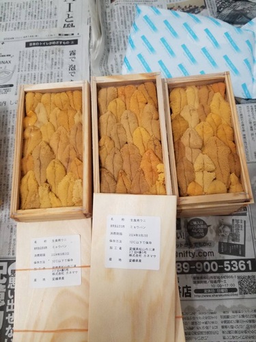 ウニ赤ウニ4入約0.3kg | UUUO(ウーオ)