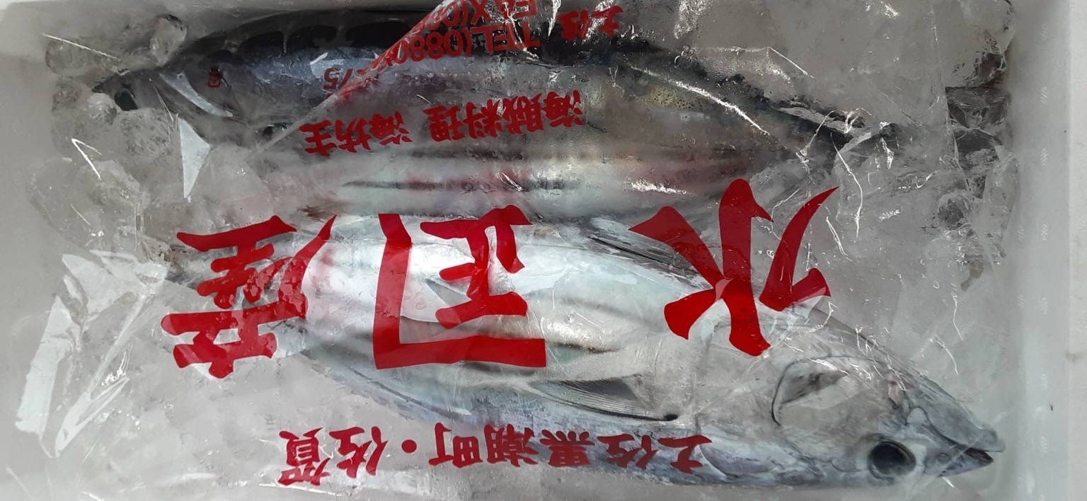 カツオ約7k4入(3.5k/2尾×2合)約7kg(釣) | UUUO(ウーオ)