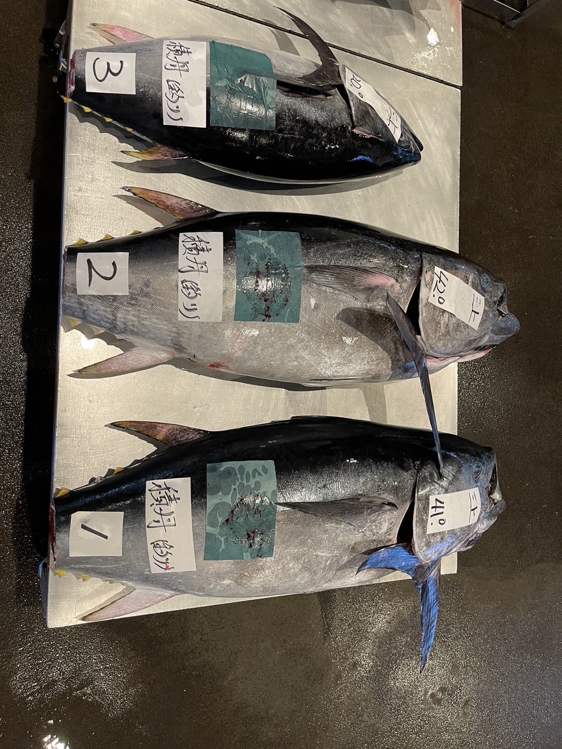 メジマグロ1入約20kg | UUUO(ウーオ)