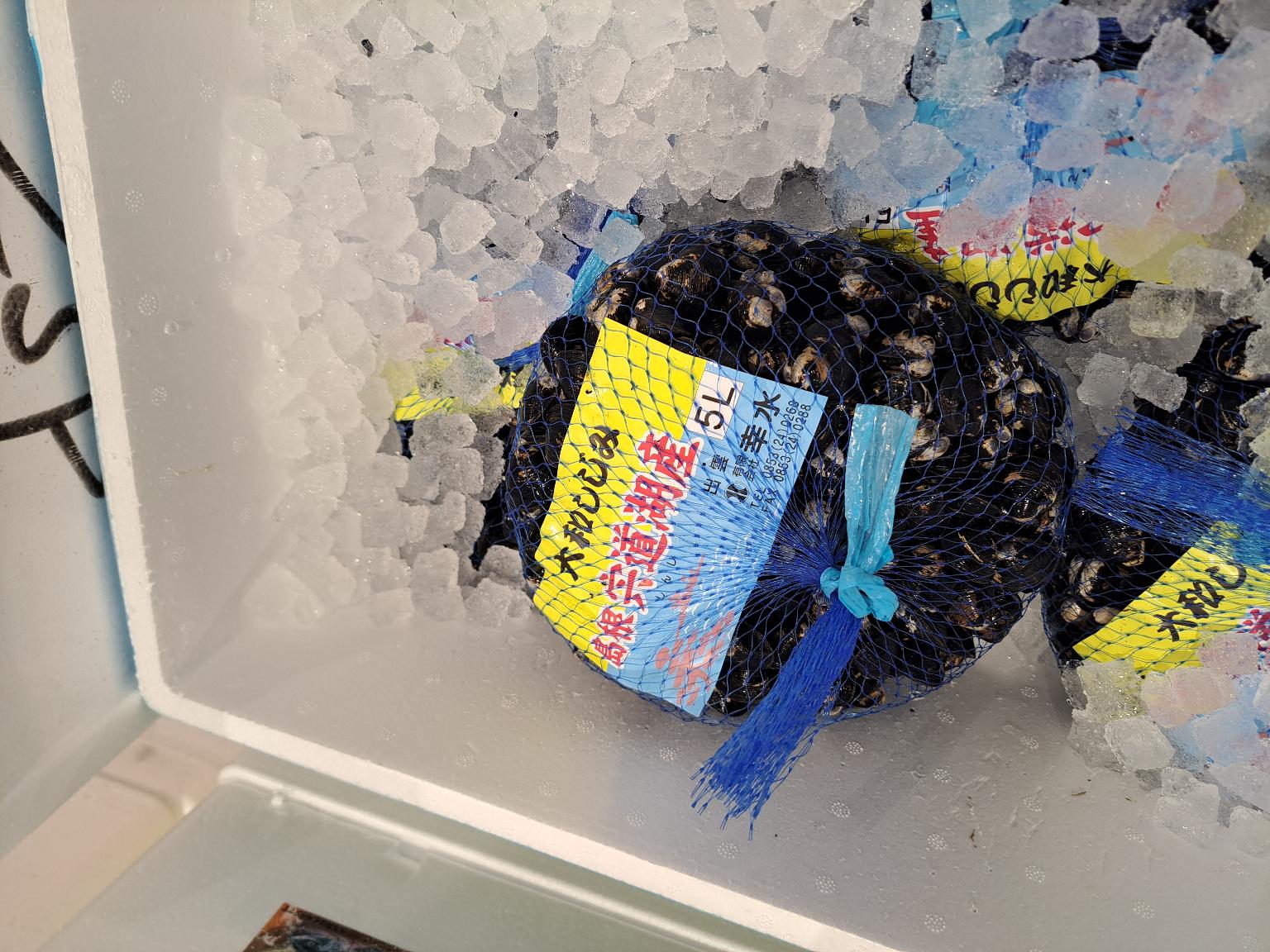 シジミ(沿岸) | UUUO(ウーオ)