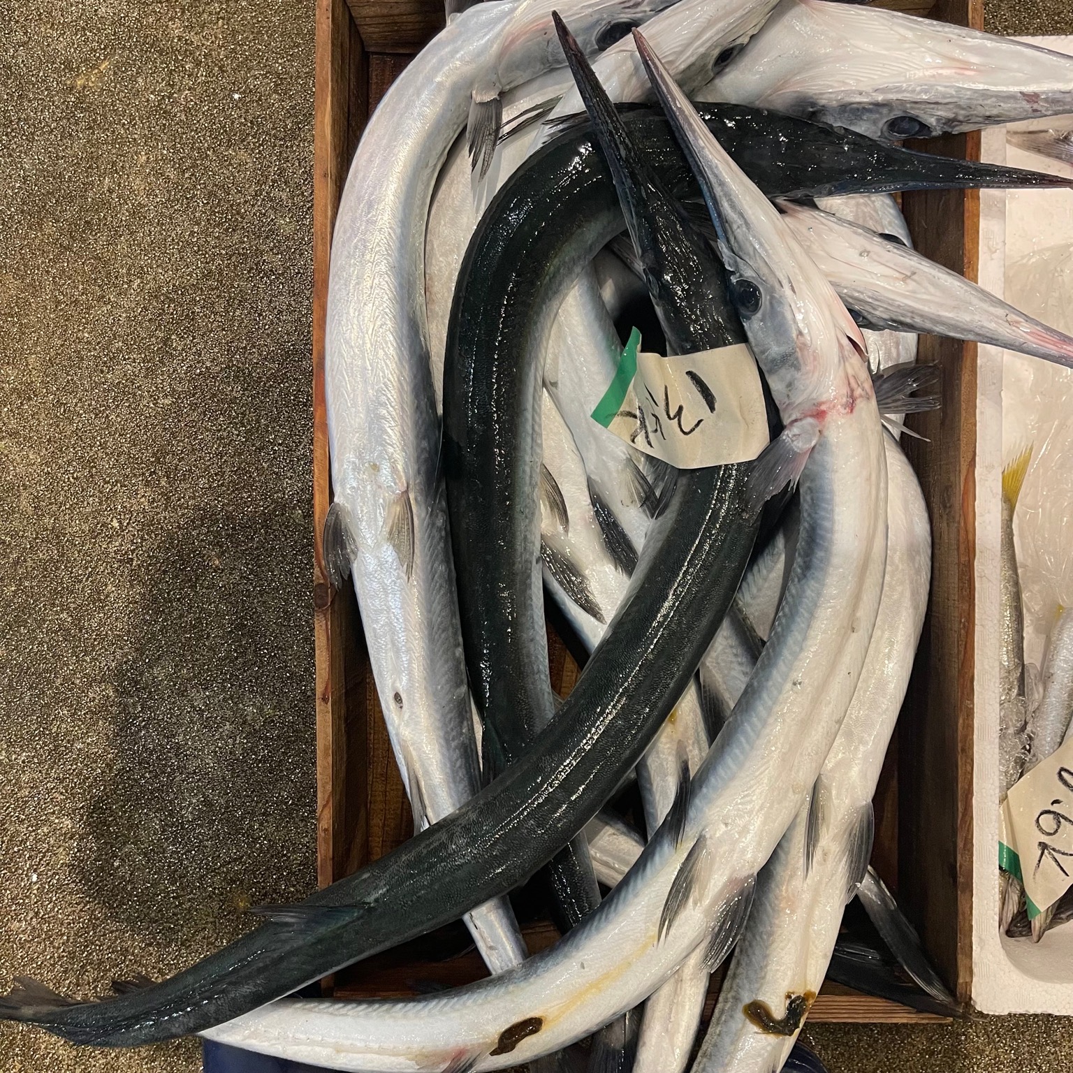 ダツ3入約8kg(定置) | UUUO(ウーオ)