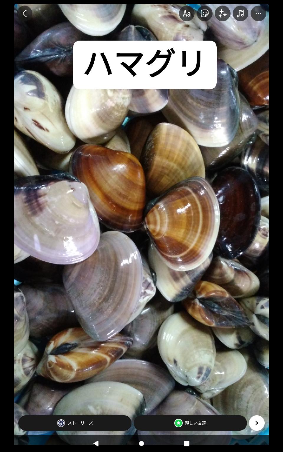 チョウセンハマグリ60/80gサイズ約4kg(沿岸) | UUUO(ウーオ)