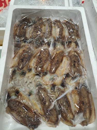 コウイカ7-10尾約3kg(定置) | UUUO(ウーオ)