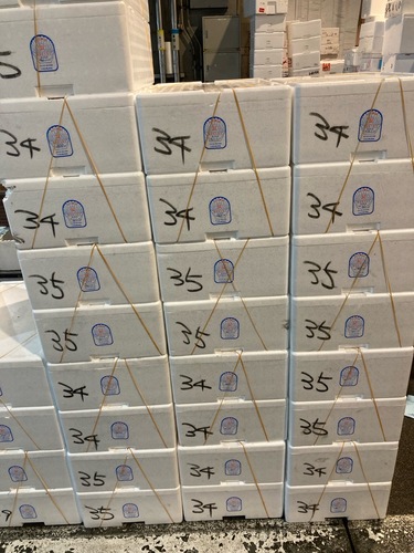 ホタテ7k34/35枚約7kg | UUUO(ウーオ)