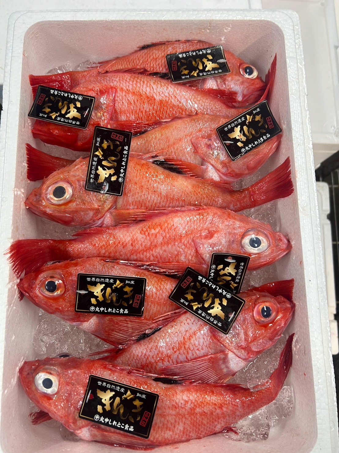 キチジ8入約3kg | UUUO(ウーオ)