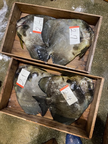 活〆ツバメウオ3入約9.4kg(定置) | UUUO(ウーオ)