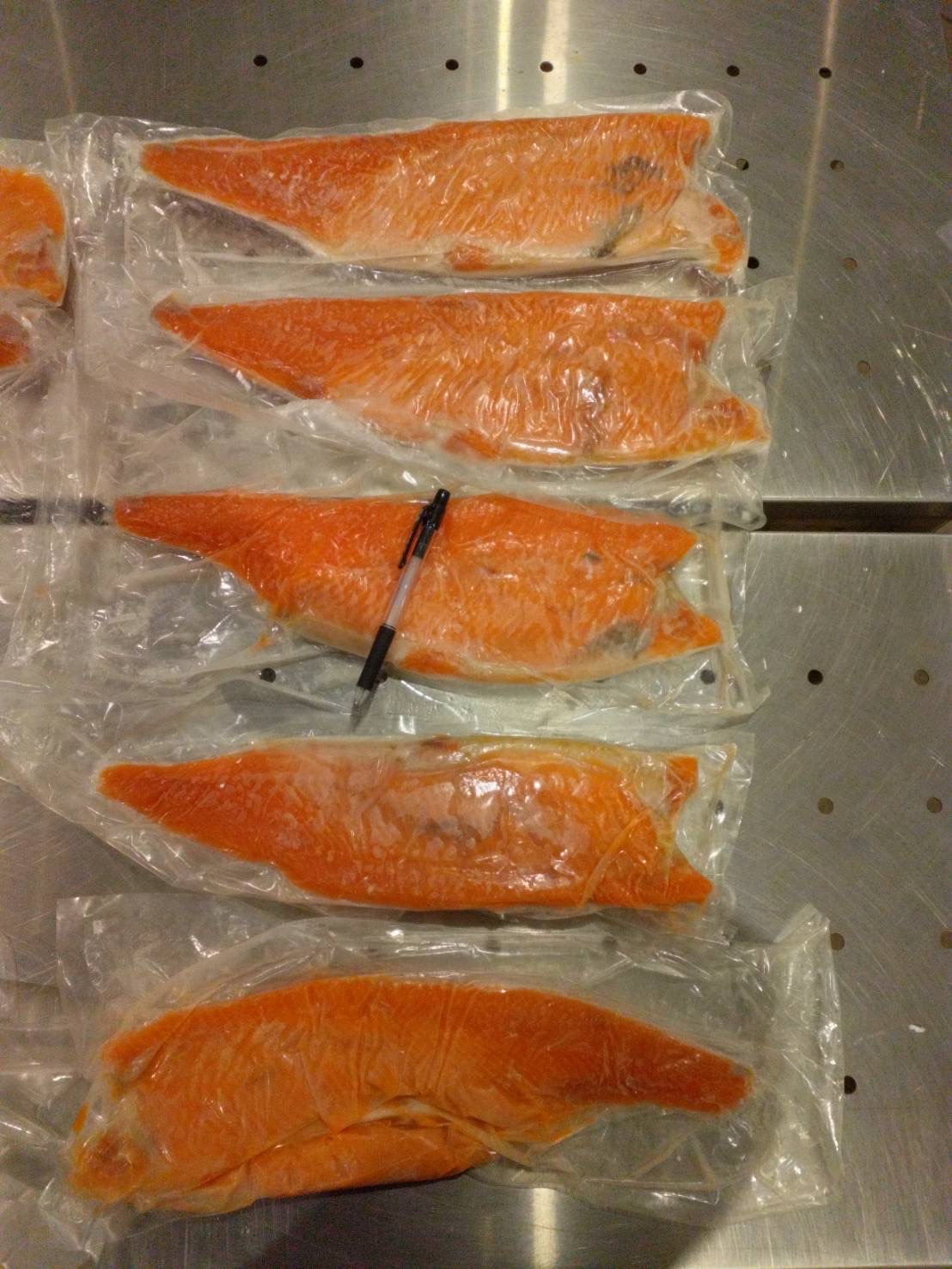 銀鮭約8kg | UUUO(ウーオ)