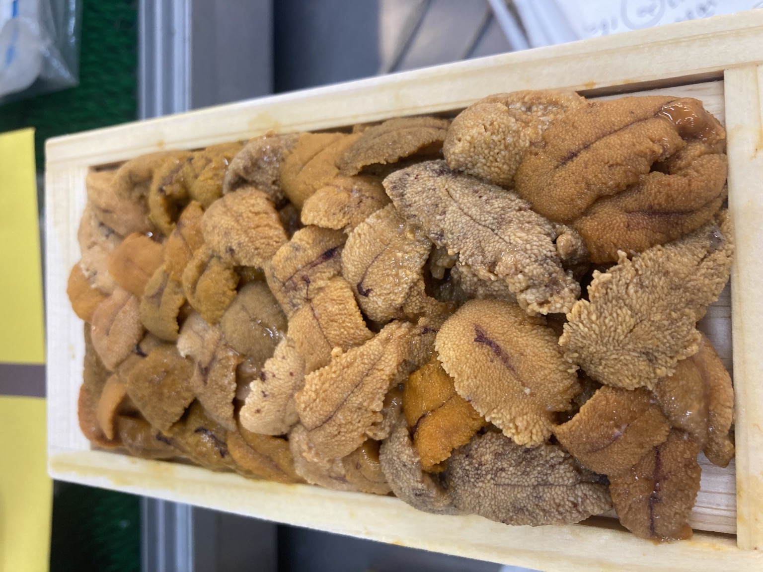 バフンウニ（板） | UUUO(ウーオ)