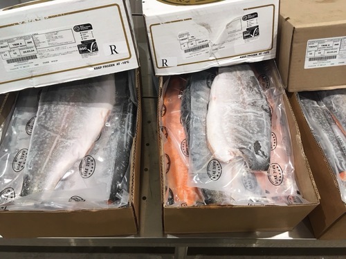 サーモントラウト（養殖）約10kg | UUUO(ウーオ)