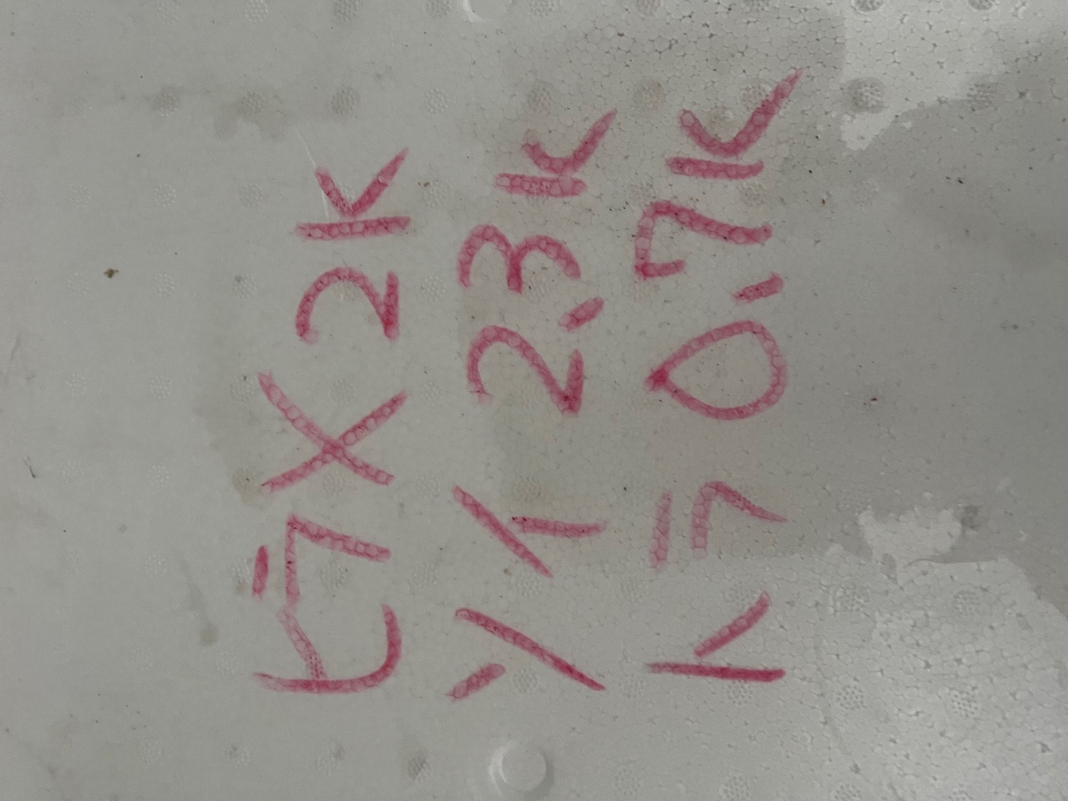 鮮魚BOX約5kg | UUUO(ウーオ)